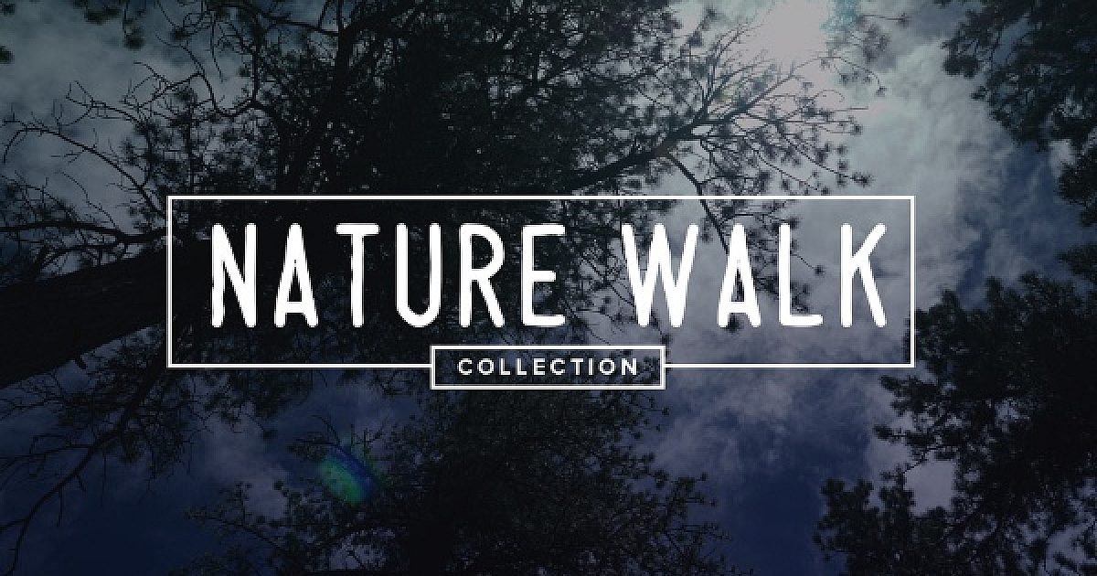 Nature Walk Collection