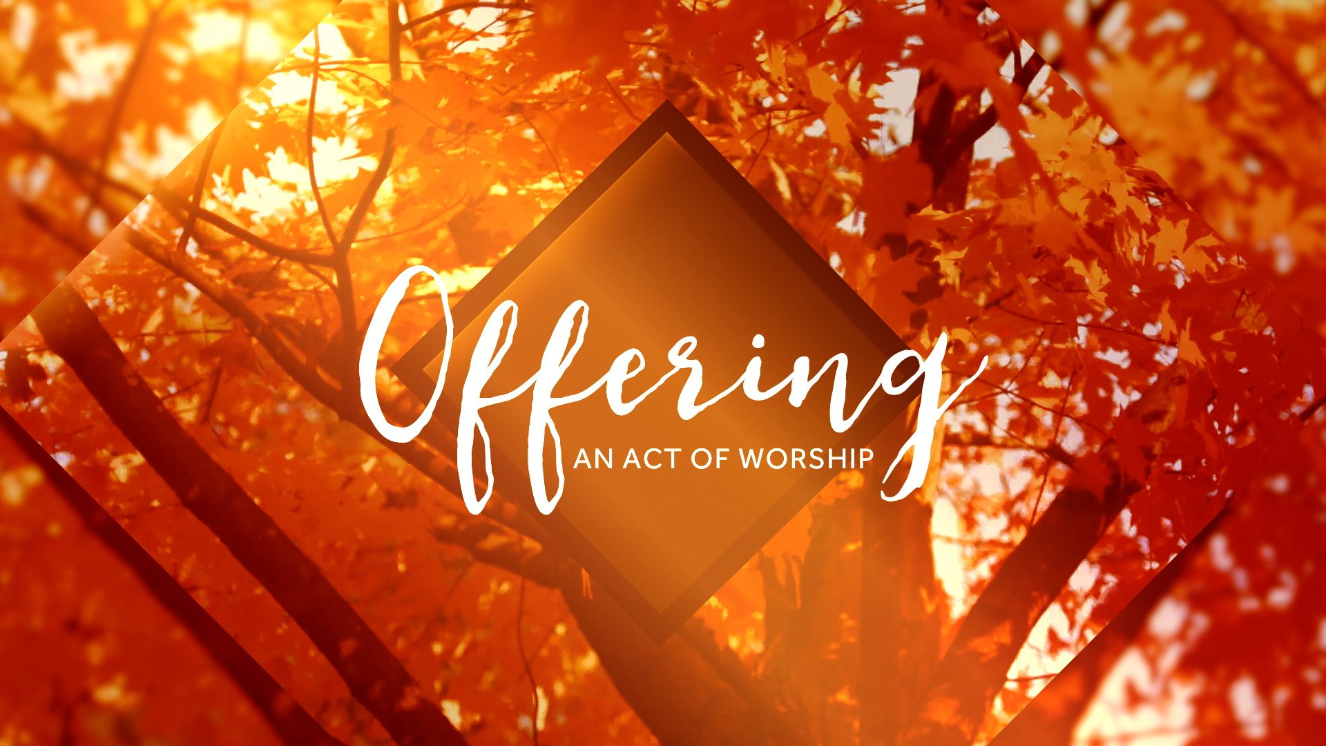 Autumn Oasis Offering | Motion Video Background