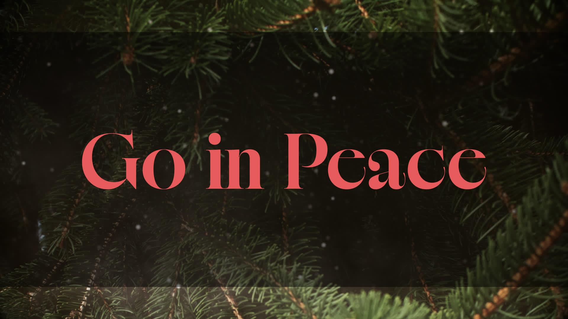 Evergreen Exit | Motion Video Background