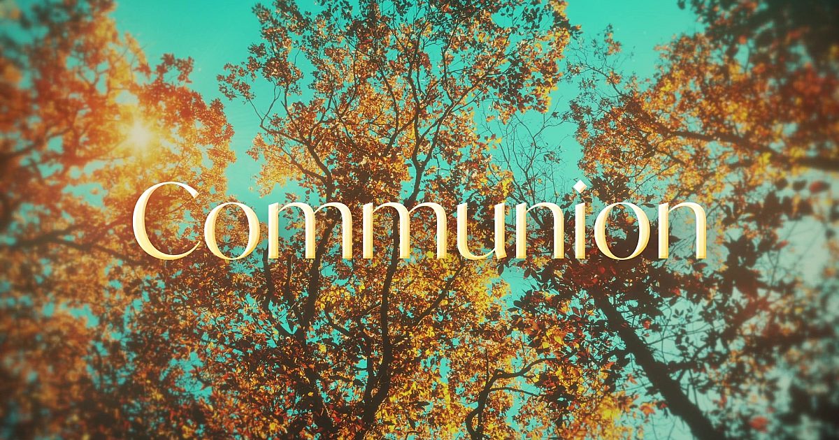 Autumn Canopies Communion | Motion Video Background