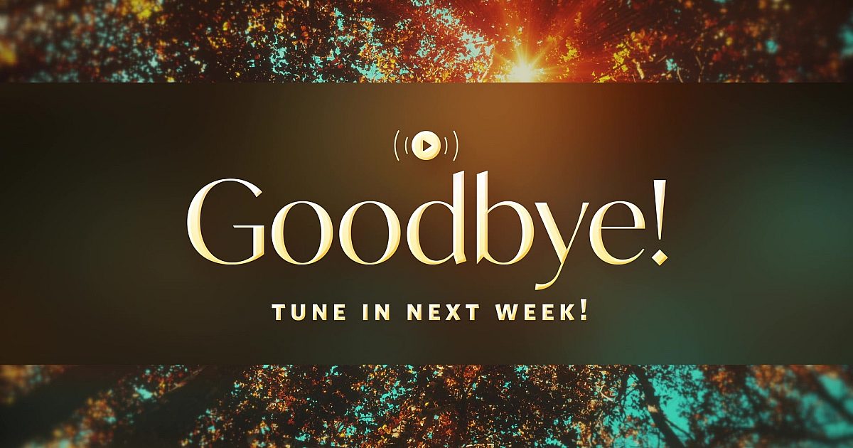 Autumn Canopies Exit Stream | Motion Video Background