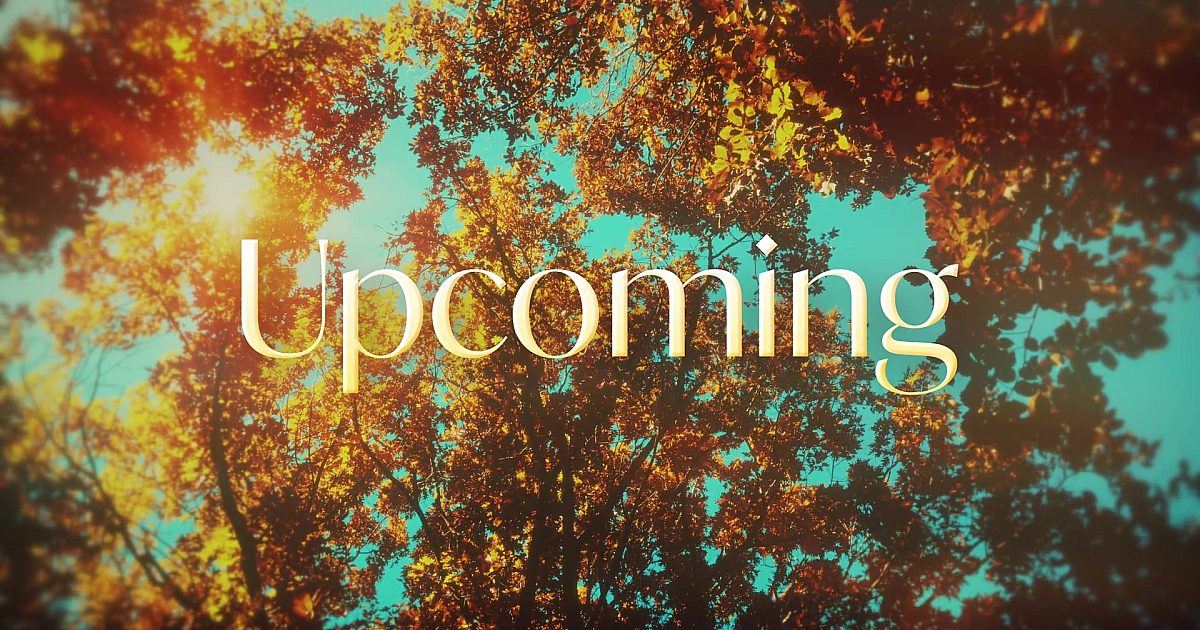 Autumn Canopies Upcoming | Motion Video Background