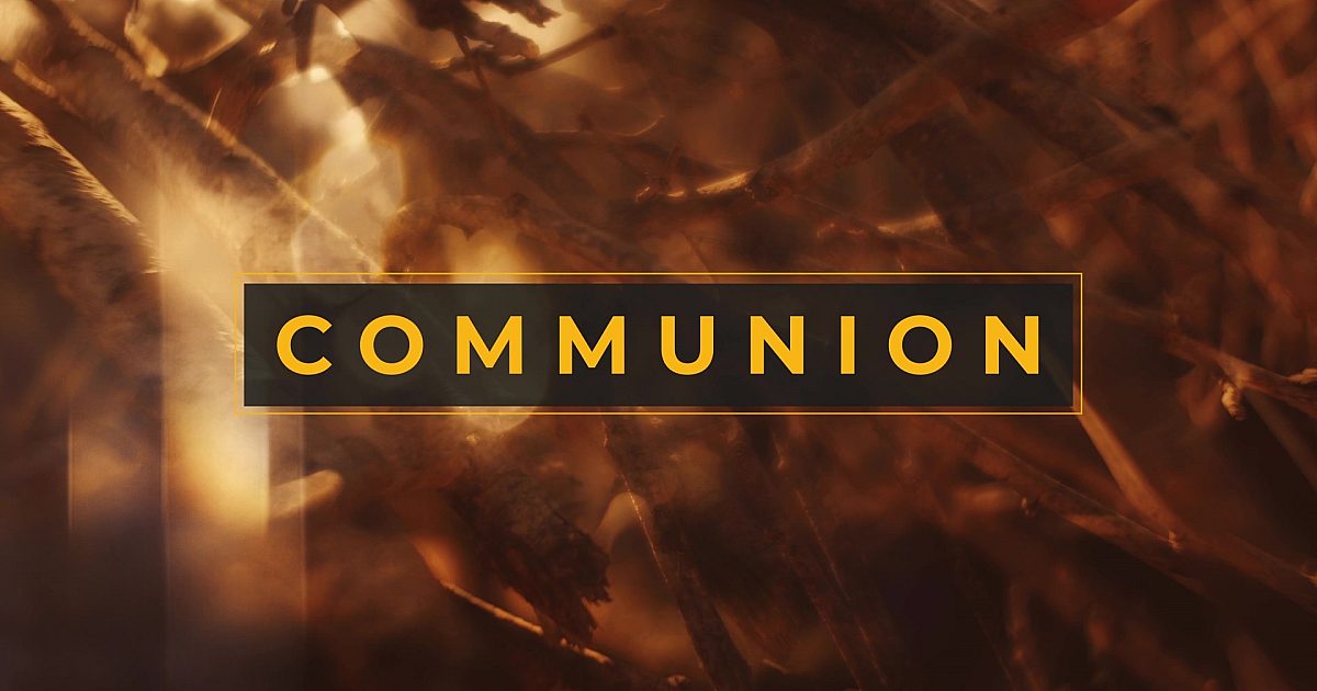 Autumn Dream Communion | Motion Video Background