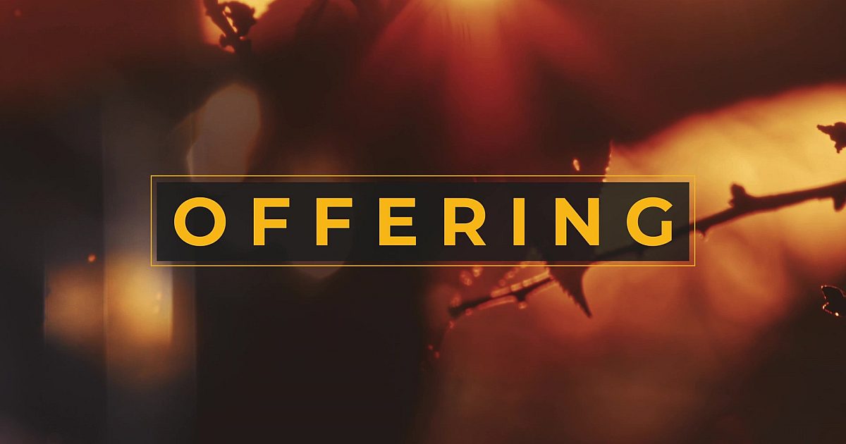 Autumn Dream Offering | Motion Video Background