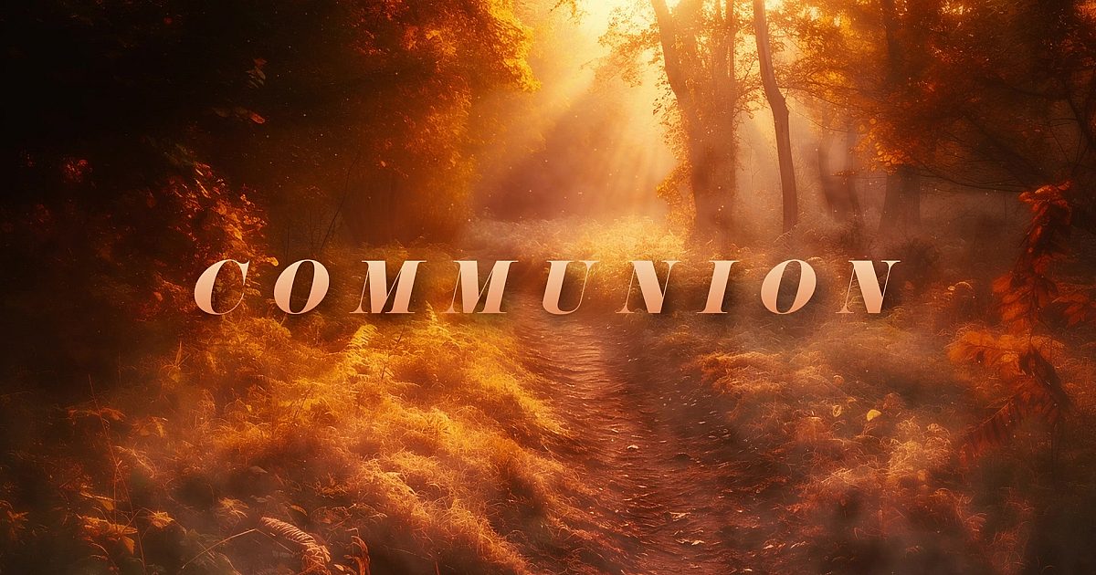 Autumn Path Communion | Motion Video Background