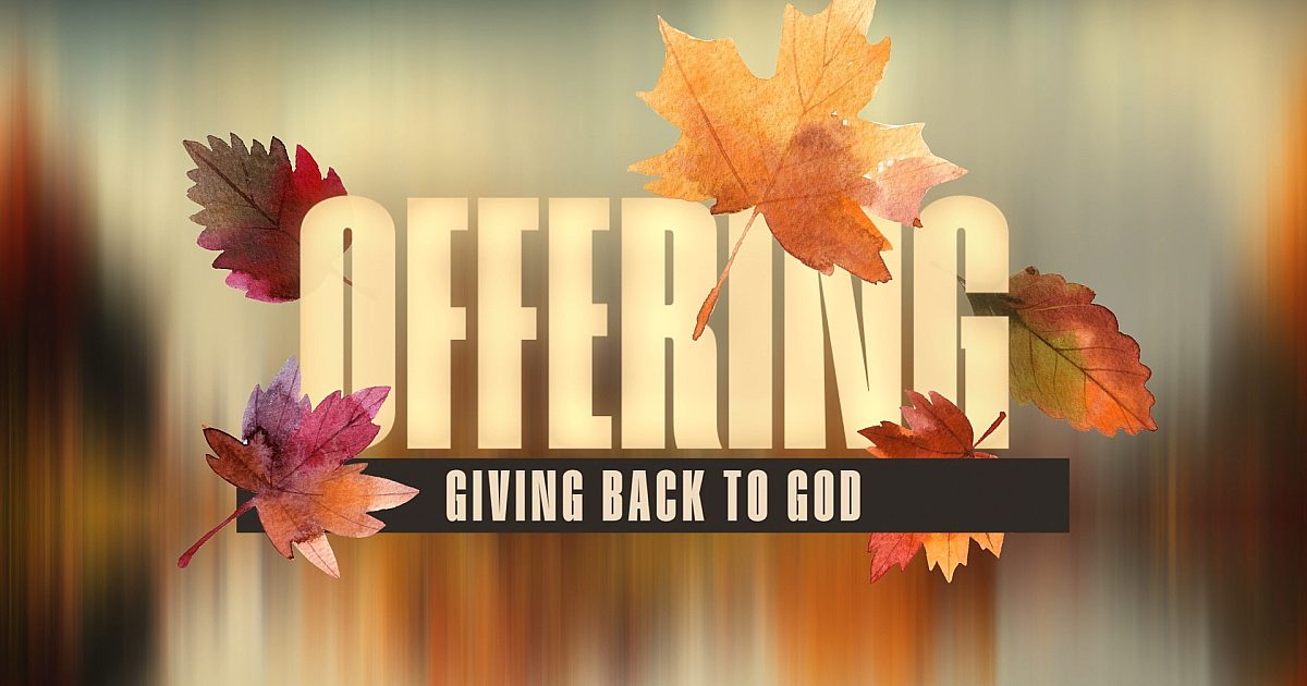 Autumnscape Offering | Motion Video Background