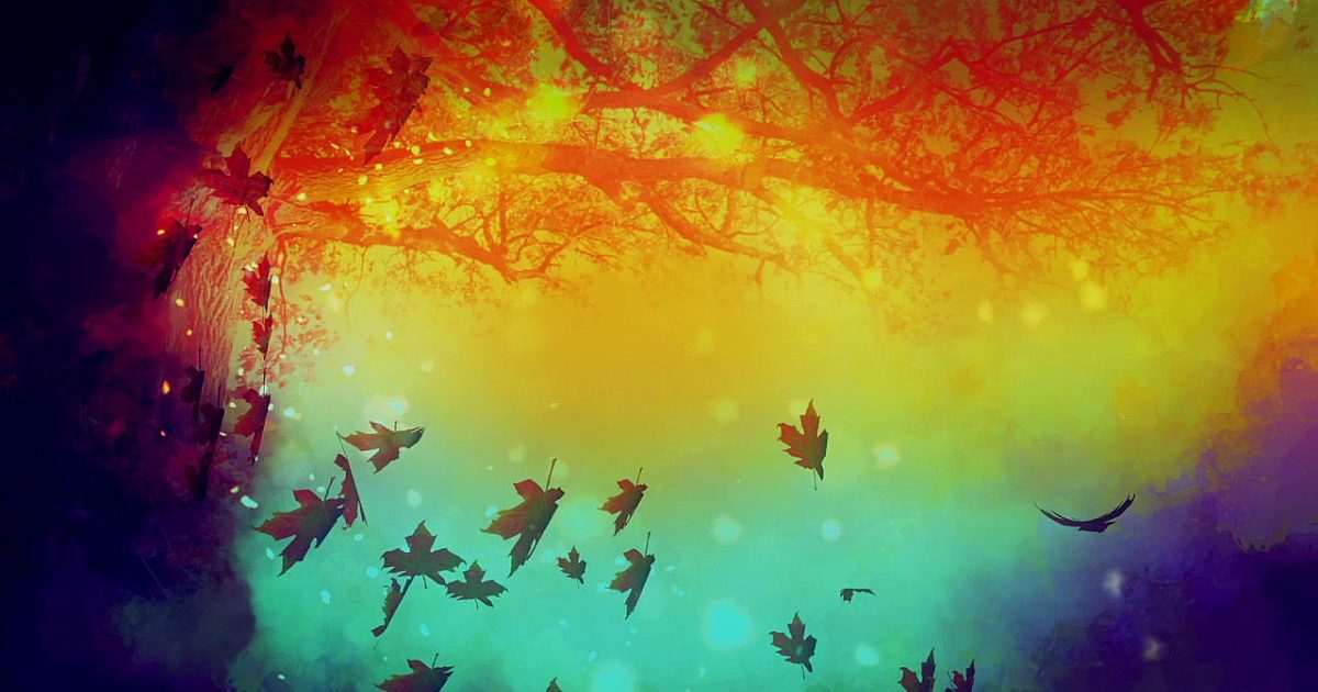 Fall 6 Loop Vol 5 | Motion Video Background
