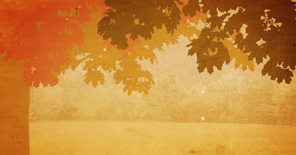 Fall Colors 01 | Motion Video Background