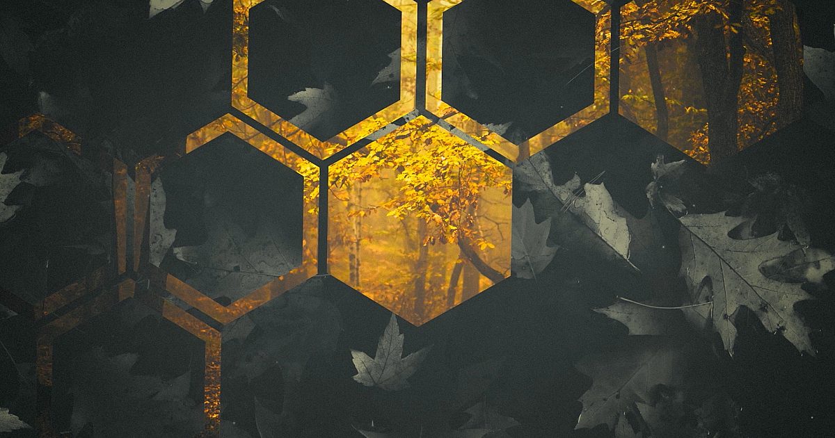 Fall Leaves Background for Fall Equinox | Motion Video Background