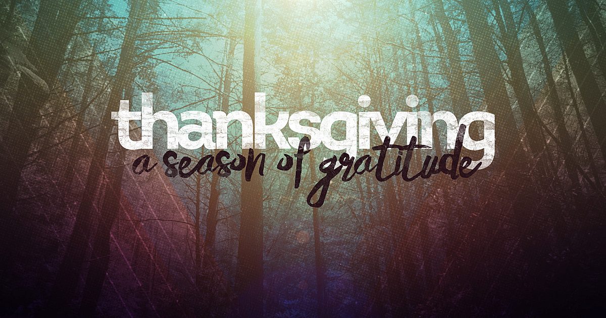 Fall Forest Thanksgiving | Motion Video Background