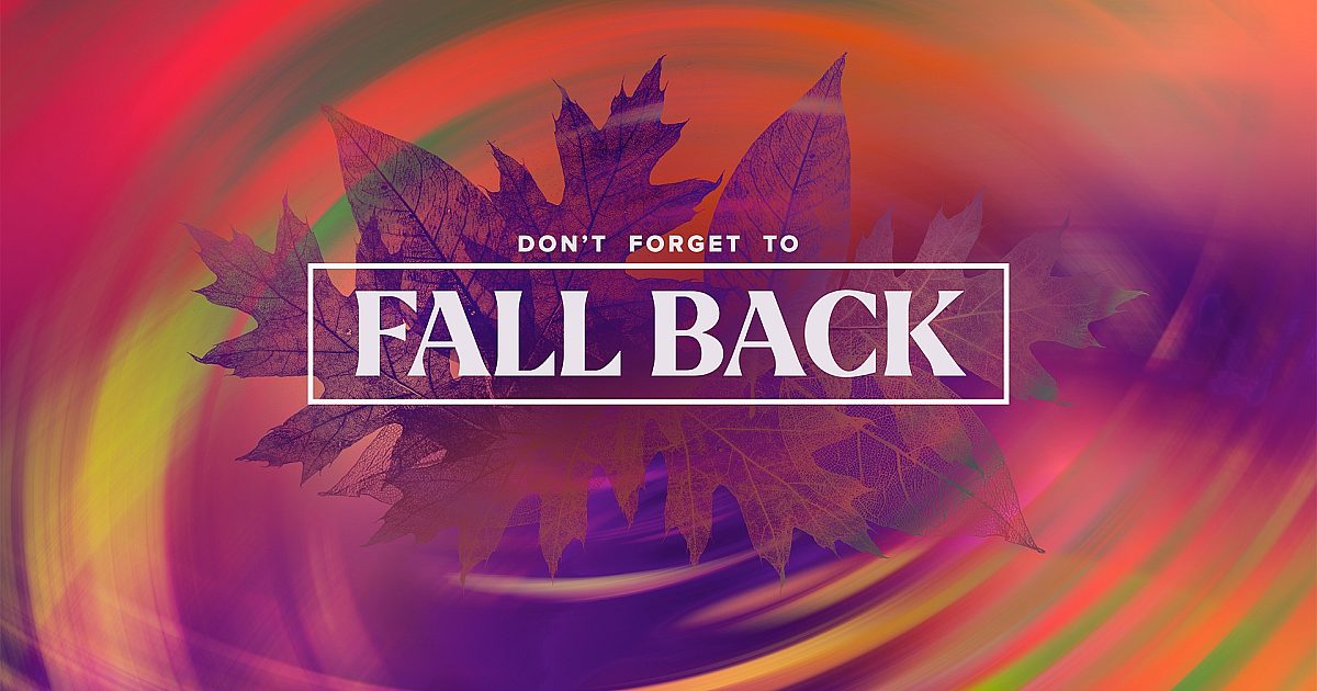 Fall Vibes Fall Back | Motion Video Background