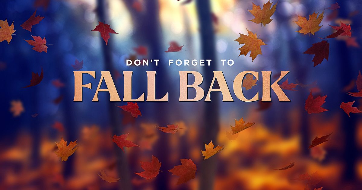 Fall Woods Fall Back | Motion Video Background