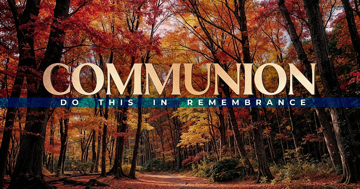 Forest Fall Communion | Motion Video Background