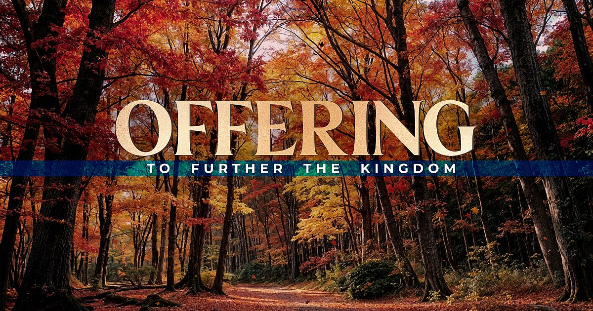 Forest Fall Offering | Motion Video Background