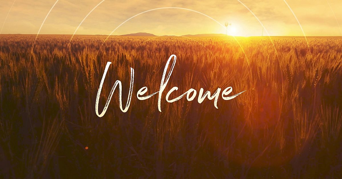 Golden Hour Welcome | Motion Video Background