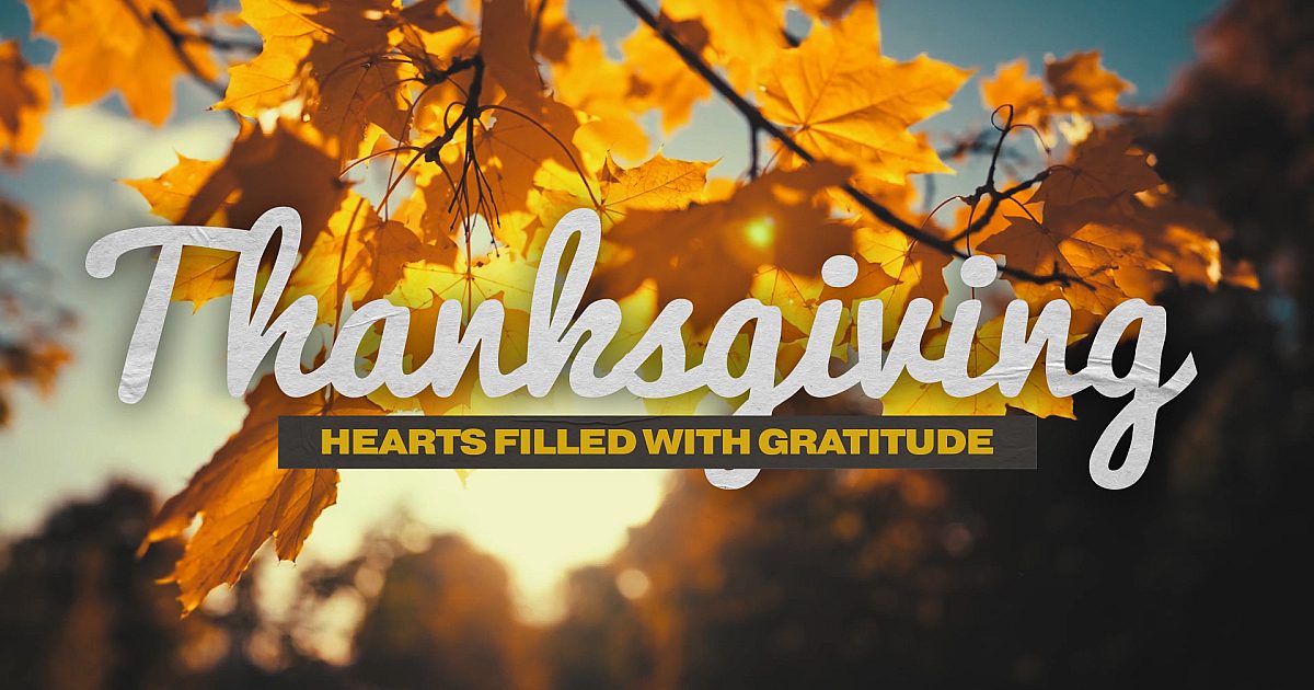 Moving Fall Thanksgiving | Motion Video Background