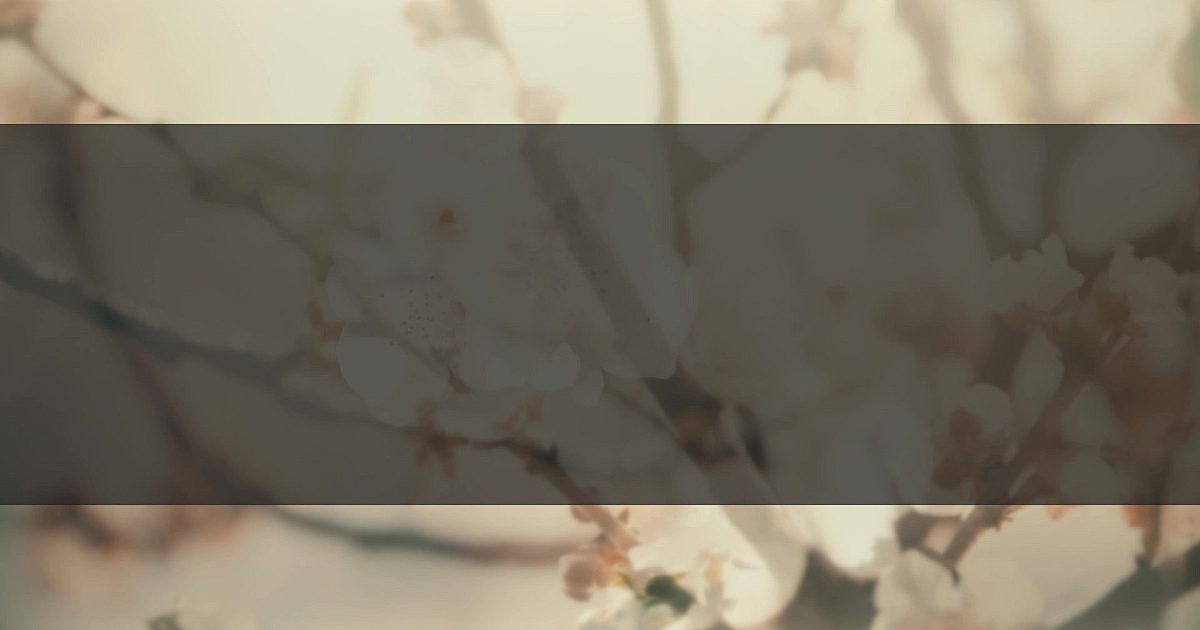 Muted Spring Branch Box | Motion Video Background