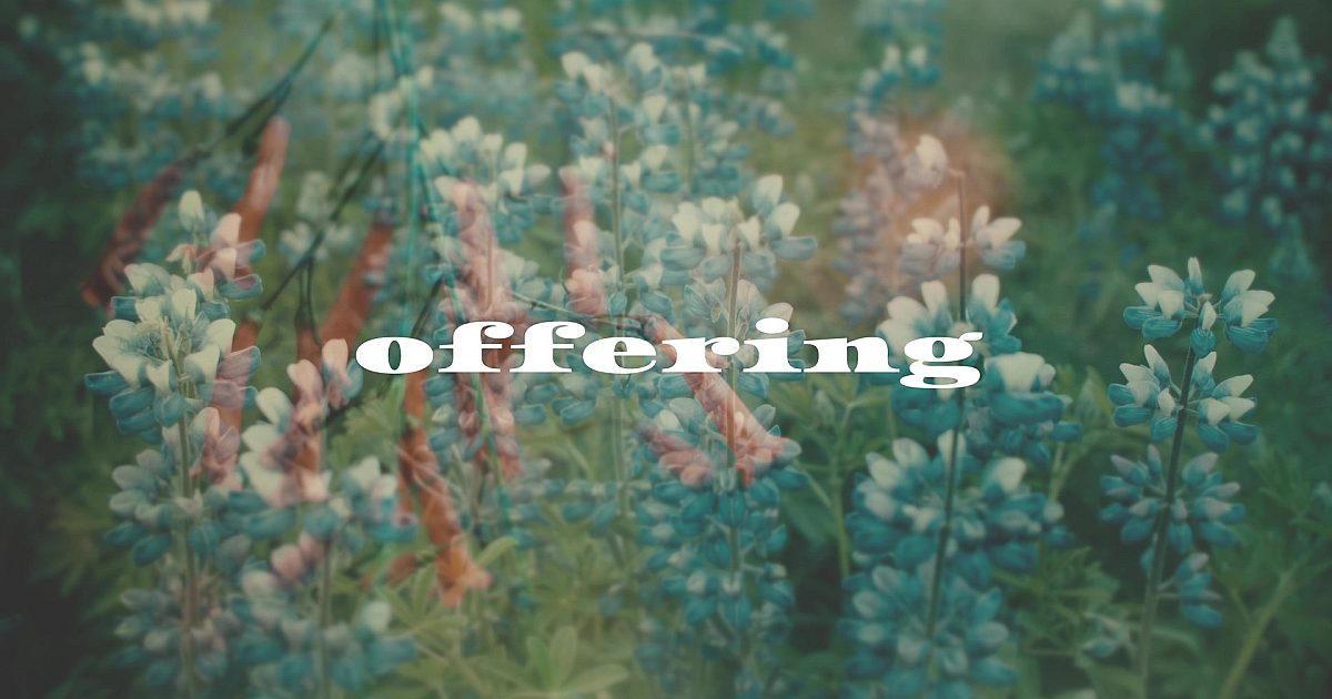 Muted Spring Offering | Motion Video Background
