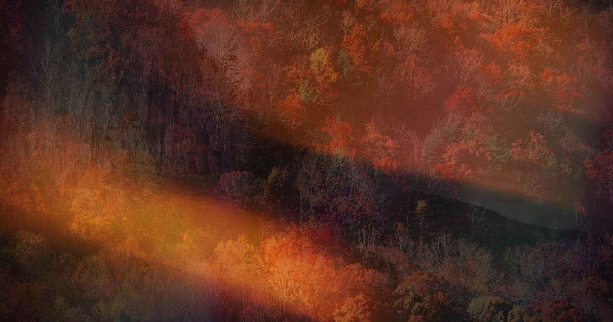 Subtle Fall 01 | Motion Video Background