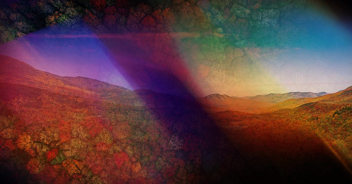 Subtle Fall 07 | Motion Video Background