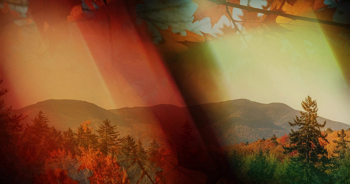 Subtle Fall 09 | Motion Video Background