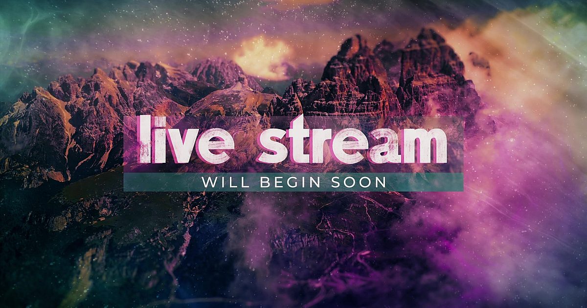 Vivid Nature Live Stream | Motion Video Background