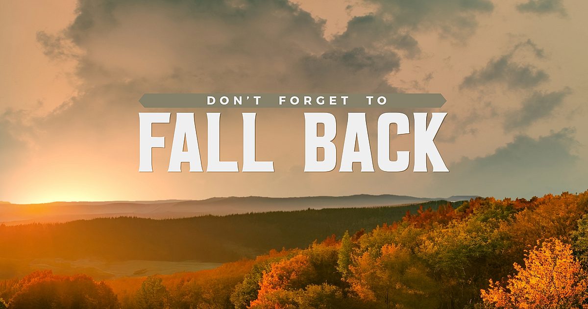 Wilderness Fall Back | Motion Video Background