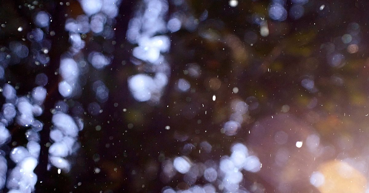 Winter Snow 16 | Motion Video Background