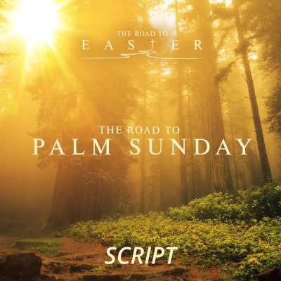 40 Days: Palm Sunday