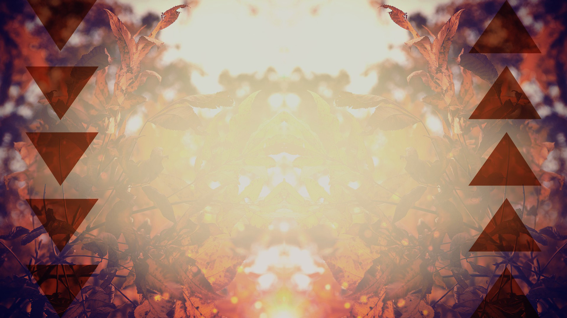 Fall Geometry Triangles | Motion Video Background