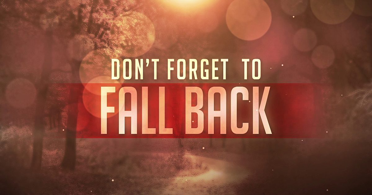 Fall Back Loop Vol4 | Motion Video Background