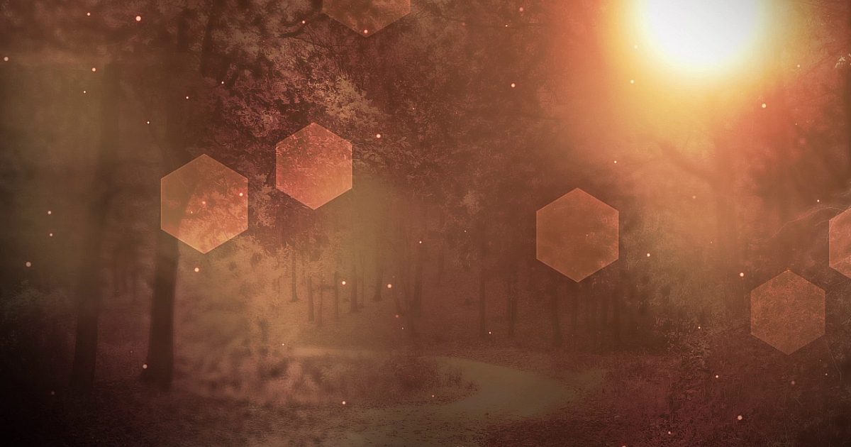 Fall Background 2 Loop Vol4 | Motion Video Background