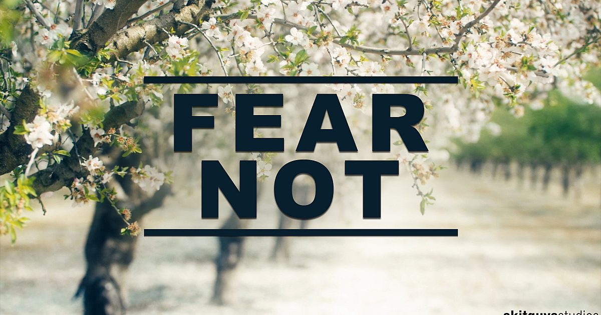 Fear Not During COVID