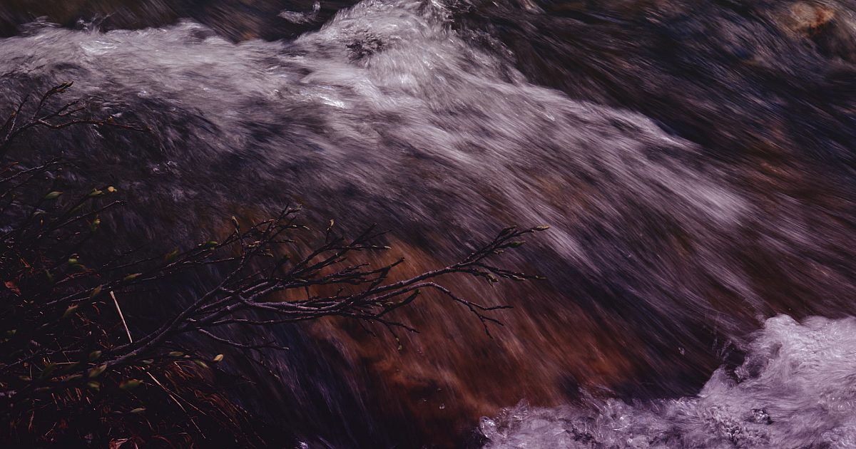 Nature Walk Flow | Motion Video Background