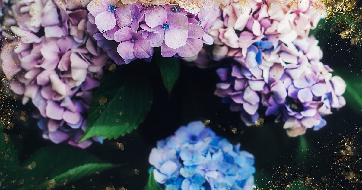 Spring Gold Bloom | Motion Video Background