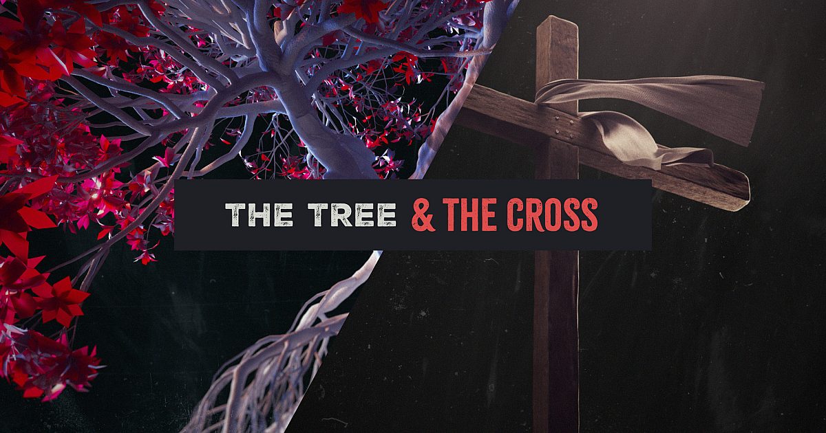 The Tree And The Cross